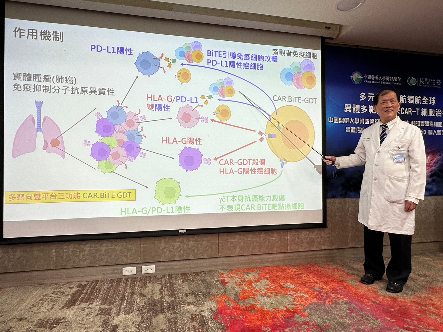 中國醫藥大學附設醫院攜手長聖生技 「CAR.BiTE-GDT 細胞治療」多元精準領航全球 異體多靶向奈米CAR-T 動物實驗超過9成實體癌症 ...